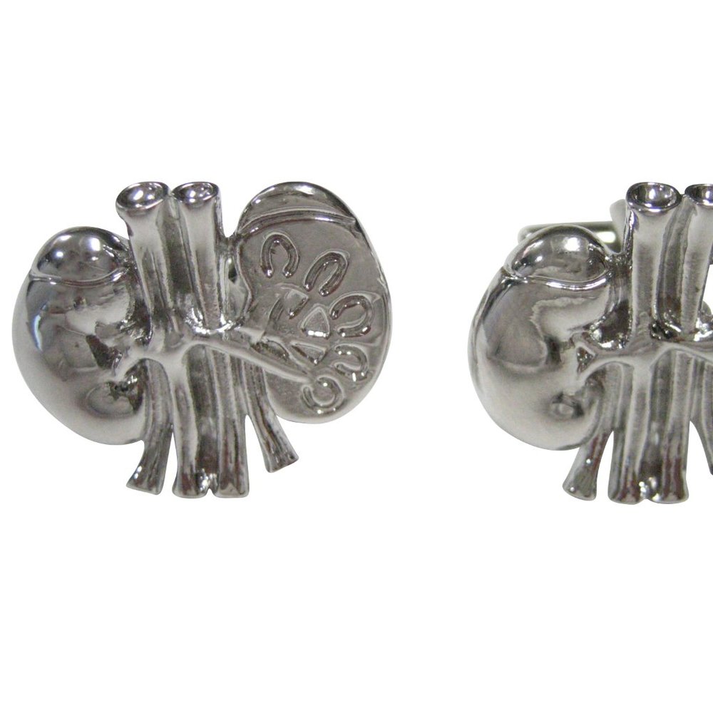 Silver Toned Anatomical Medical Nephrologists Kidney … - Gem